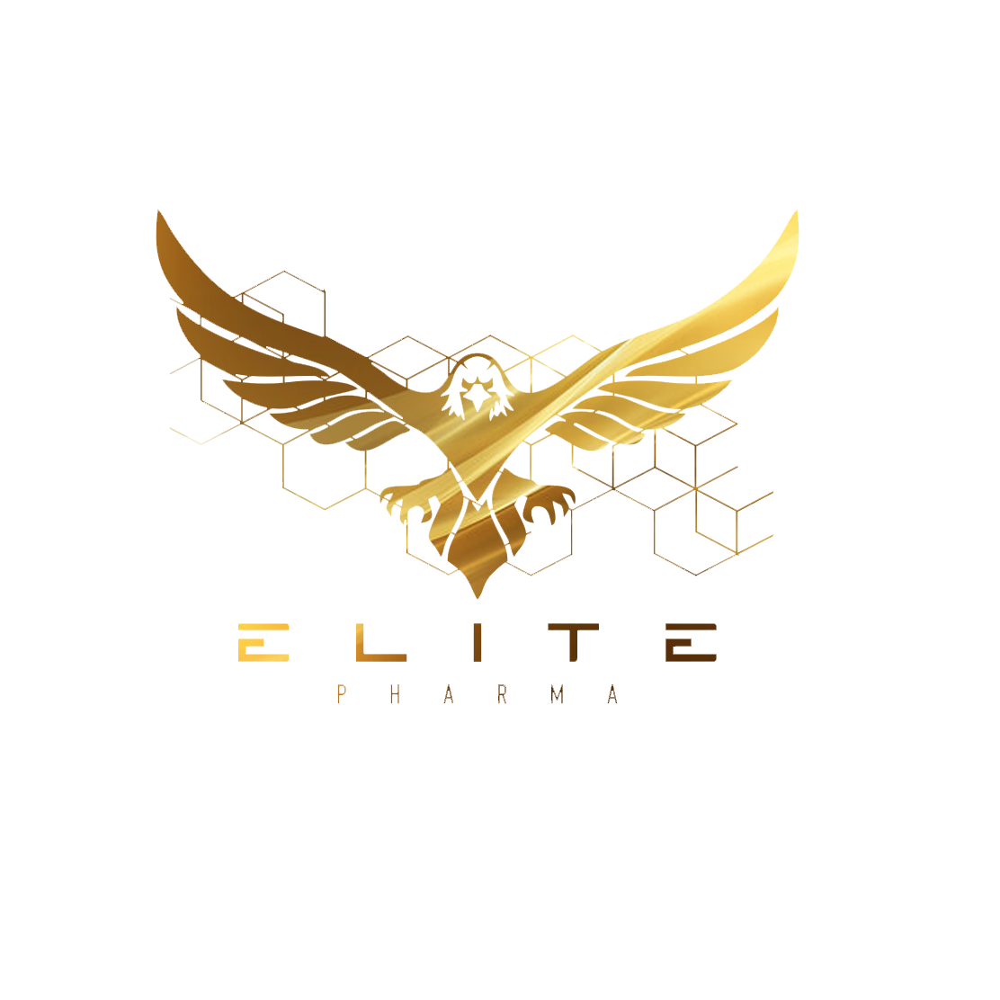 Team elite
